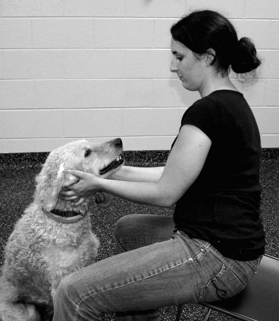 Functional Behaviour Assessment – Adelaide